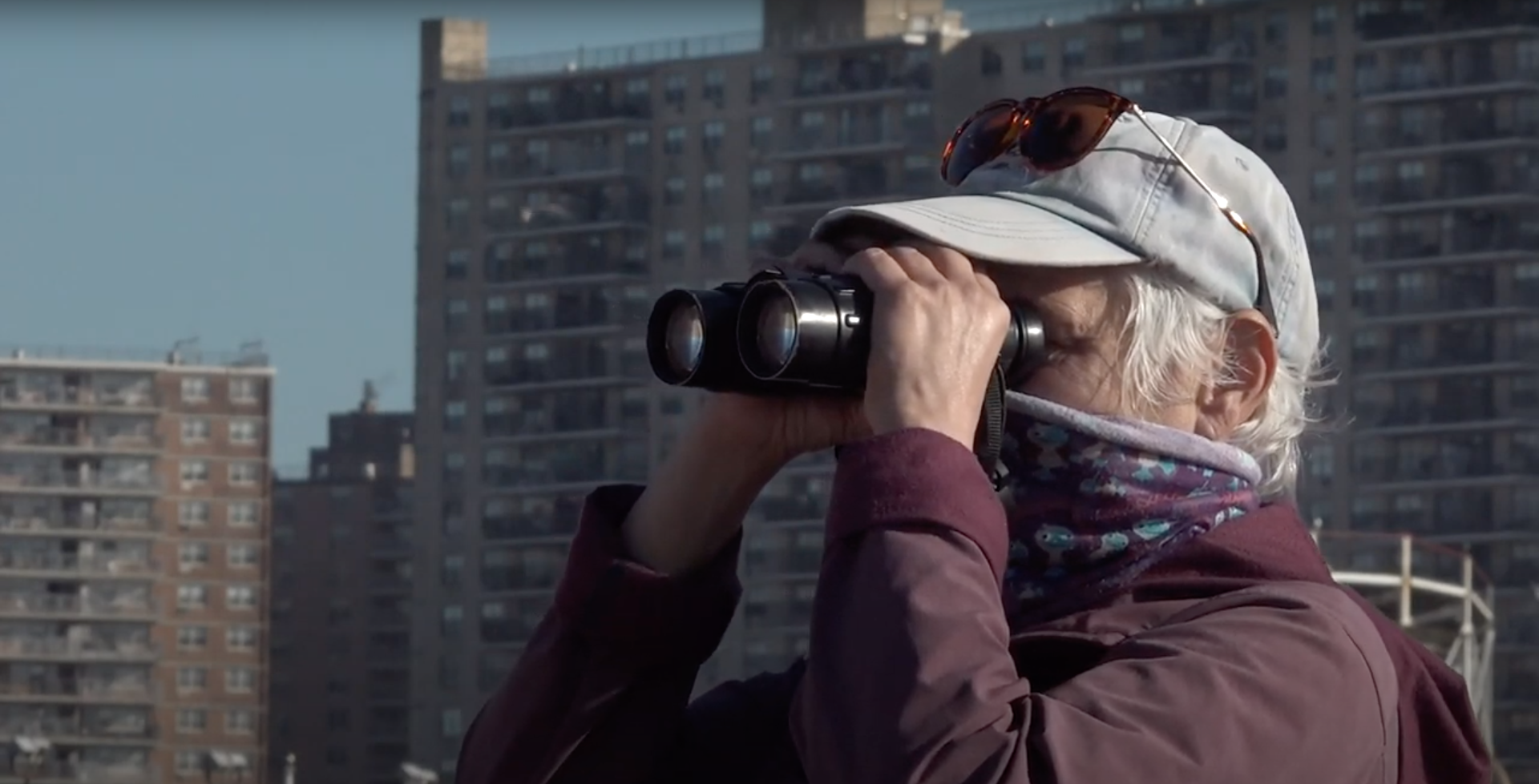 Bird Mania in New York City | Sidewalks to Trails